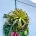 Large Tropical Double Door Everyday Wreath Summer Succulent Door Hanger ...