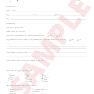 Hair Salon Client Intake Form Canva Template PDF Editable Hair Stylist ...