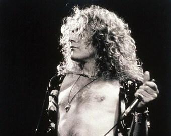 Led Zeppelin Fabric - Etsy