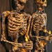 Corpsed Skeleton, Halloween Prop, Yard Decoration, Graveyard Art, Décor ...
