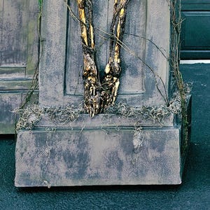 Recessed Panel Pillars, Skeletons W/ Swords, Vines, Halloween Prop ...