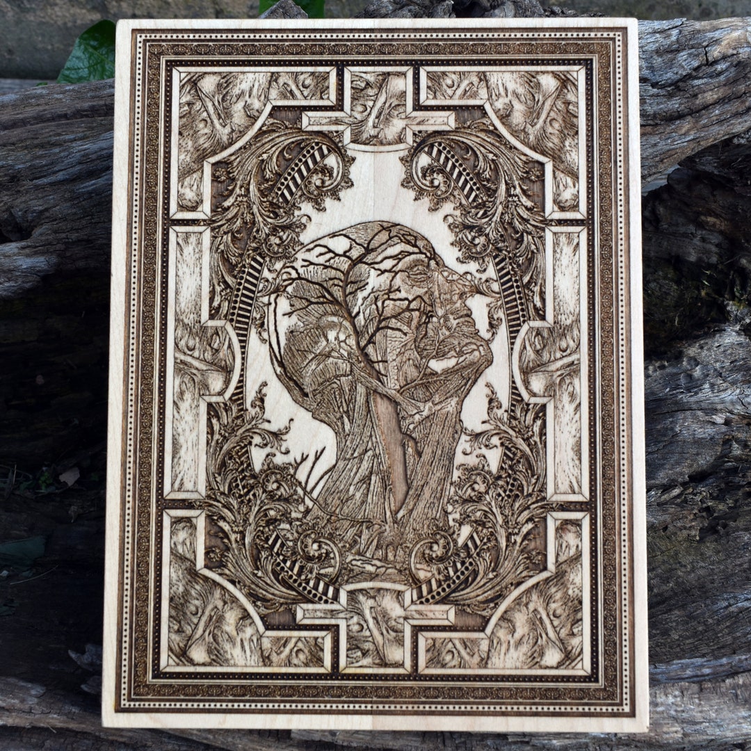 Doctor Office Wall Decor Wood Gift Human Anatomy Art, Anatomical Med ...