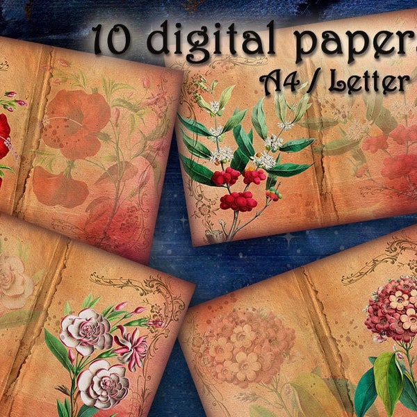 ENVELOPES Owls 4. Printable, Digital, Instant Download, Envelope ...