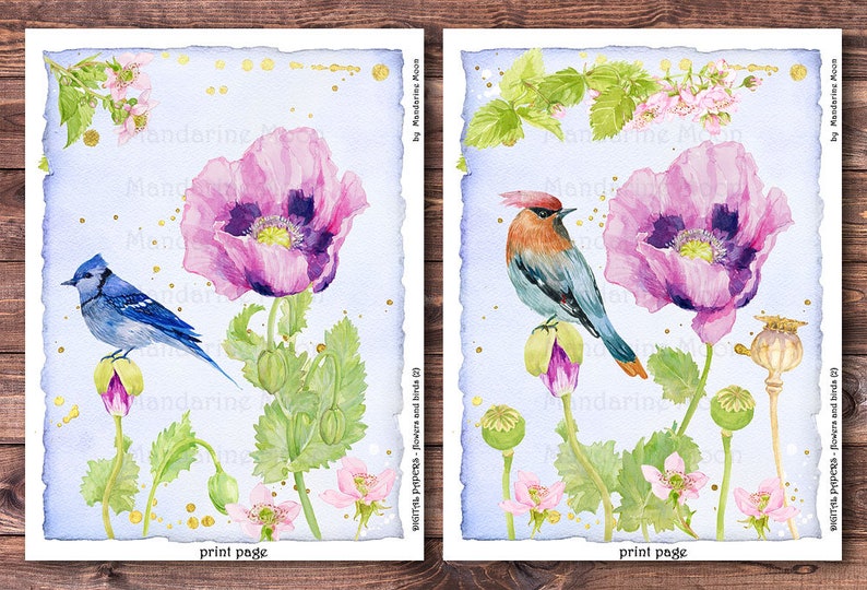 DIGITAL PAPERS - Flowers & Birds (2). Printable, Digital Paper, Collage ...