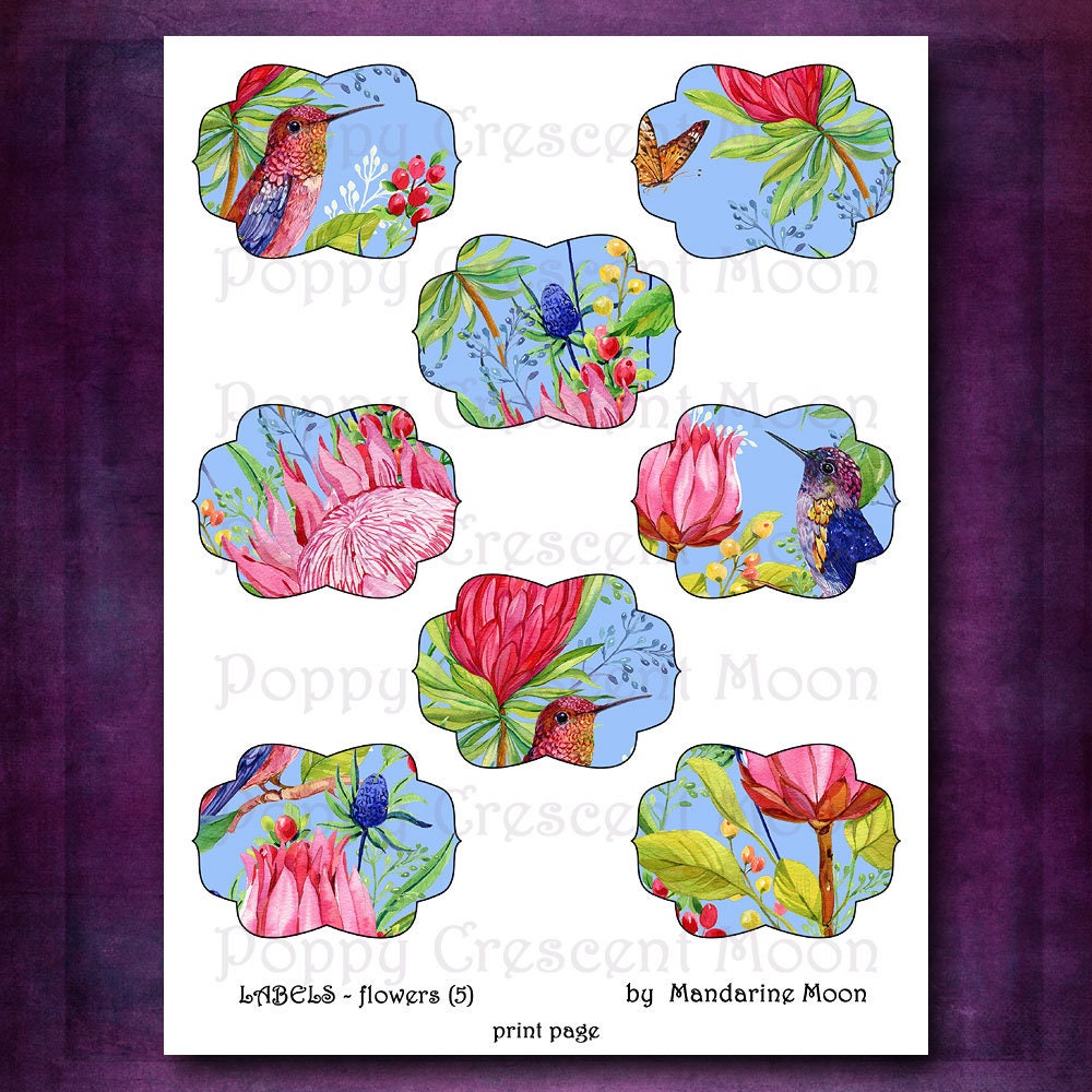 LABELS - Flowers (5). Printable, Label, Tag, Digital Collage Sheet ...