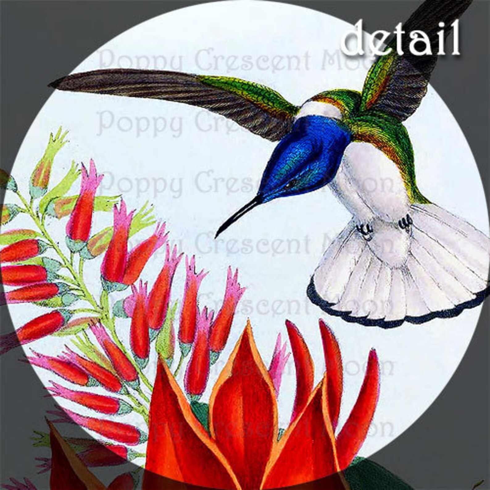 BOOKMARKS - Hummingbirds (1). Printable, Digital, Bookmark, Junk ...