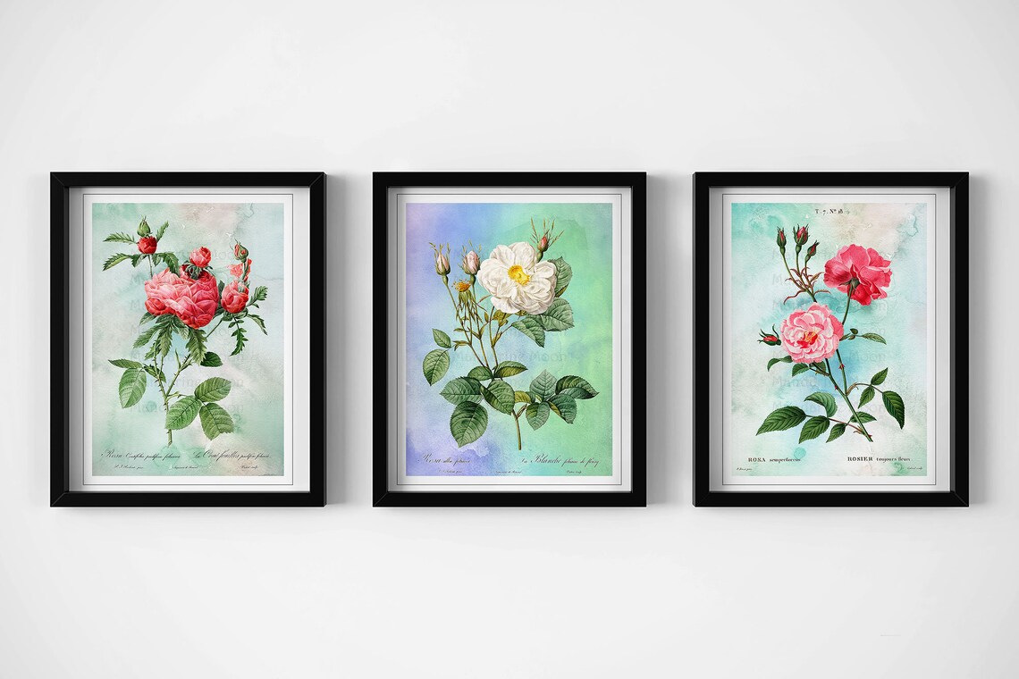 WALL ART - Roses (1). Printable, Wall Art, Digital, Collage Sheet, Wall ...