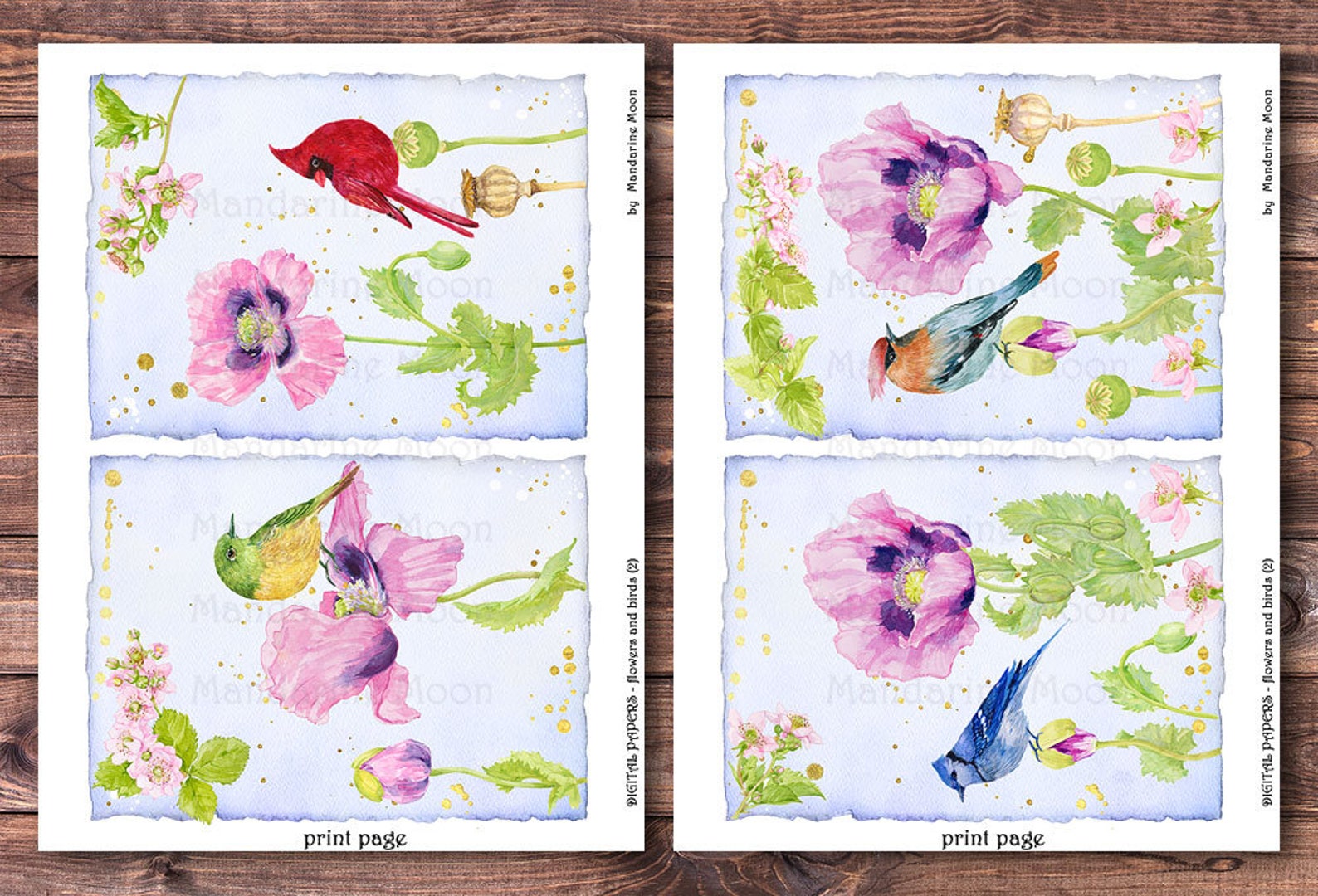 DIGITAL PAPERS - Flowers & Birds (2). Printable, Digital Paper, Collage ...
