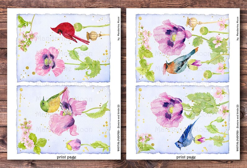 DIGITAL PAPERS - Flowers & Birds (2). Printable, Digital Paper, Collage ...