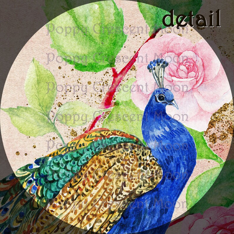 DIGITAL PAPERS - Peacocks. Printable, Digital Paper, Collage Sheet ...