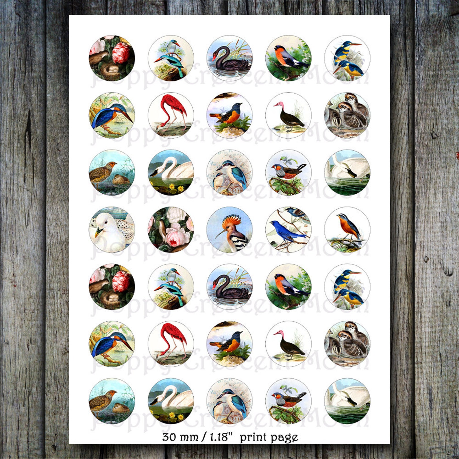 CIRCLES - Birds (1). 30 Mm / 1.18'', 25 Mm / 0.98'', 20 Mm / 0.79 ...