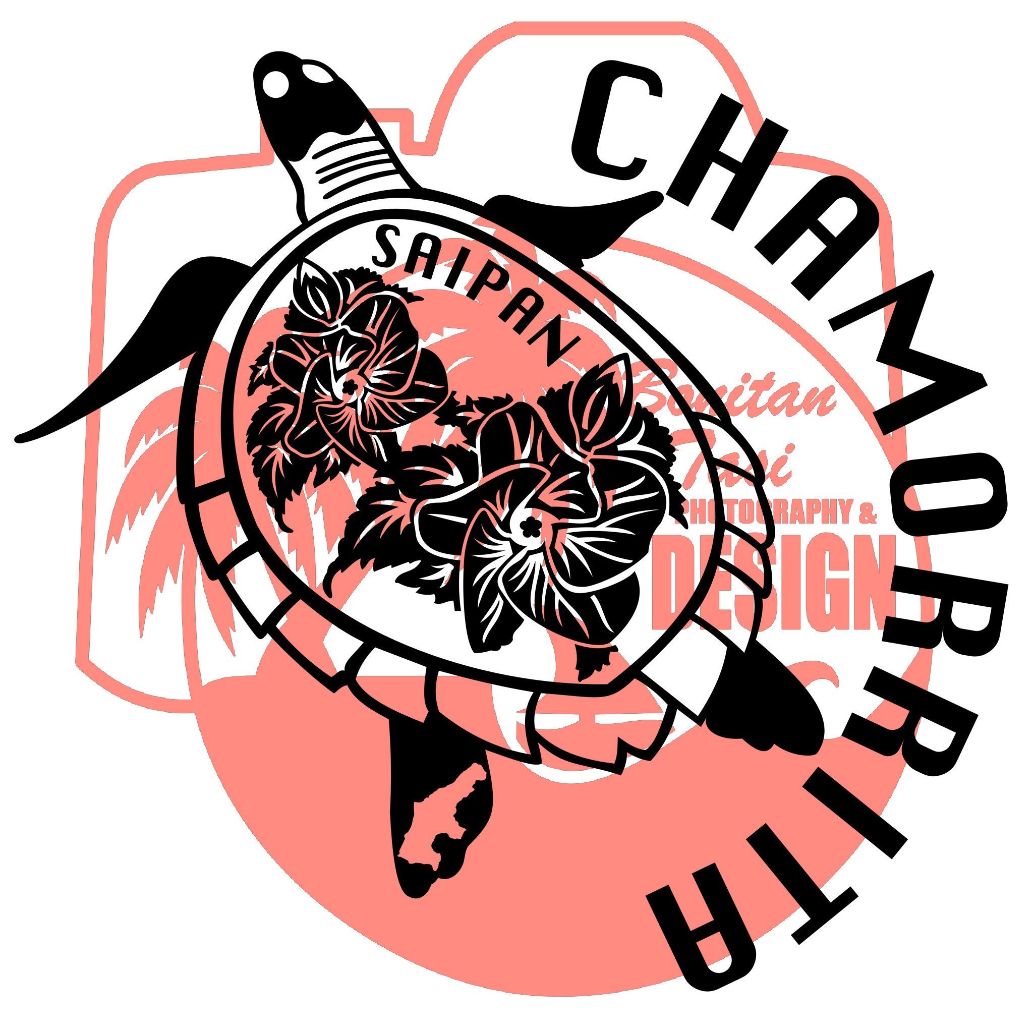 Cnmi Seal