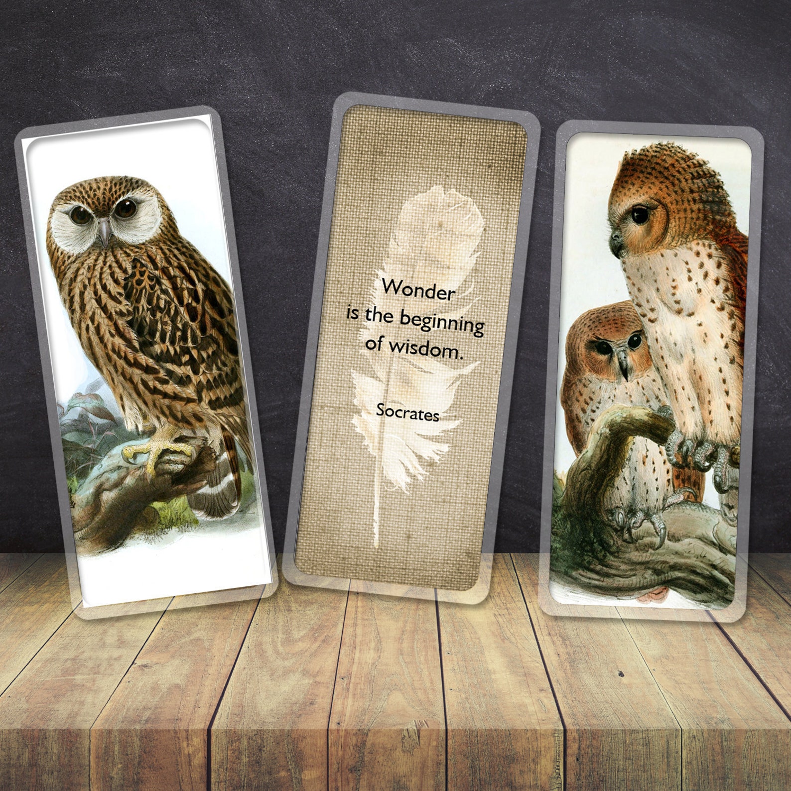 Owl Gifts, Wisdom Quotes Bookmarks, Bird Lover Gift, 06NL - Etsy