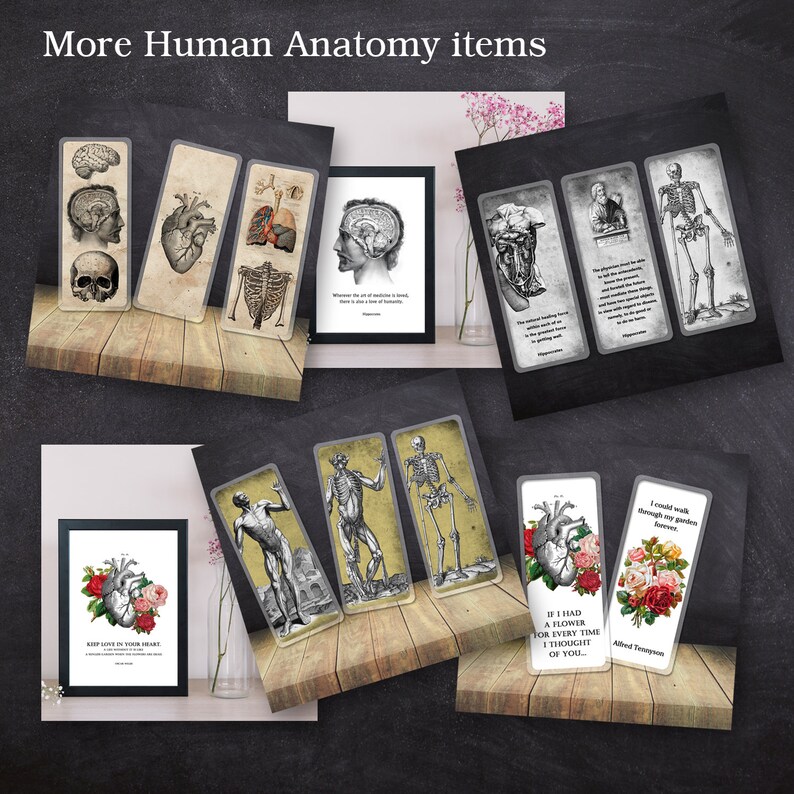 Human Anatomy Bookmarks, Medical Student Gift, Hippocrates Quote, 01SC ...