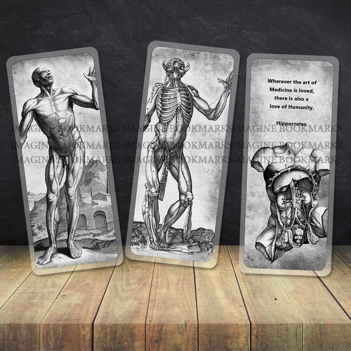 Medical Student Gift Bookmarks for Book Lover Gift Bookworm Gifts ...