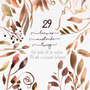 Watercolor Floral Clipart, Hand Painted Rose Flowers, Individual ...