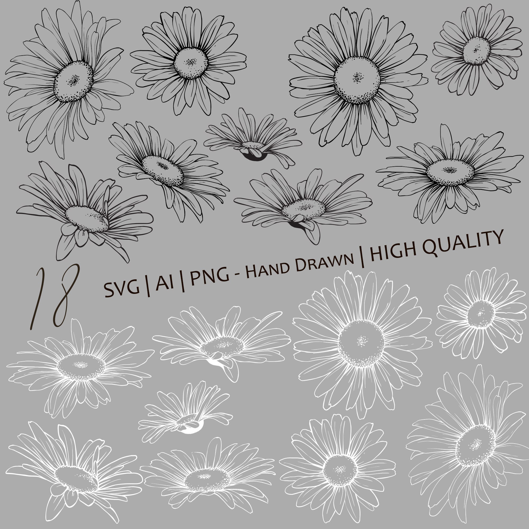Daisy Flower, Hand Drawn Floral Illustrations. Set of Svg, Ai and Png ...