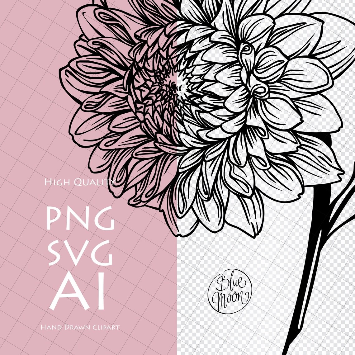 Dahlia Flower Vector Floral Graphics. Set of Svg Ai and Png - Etsy