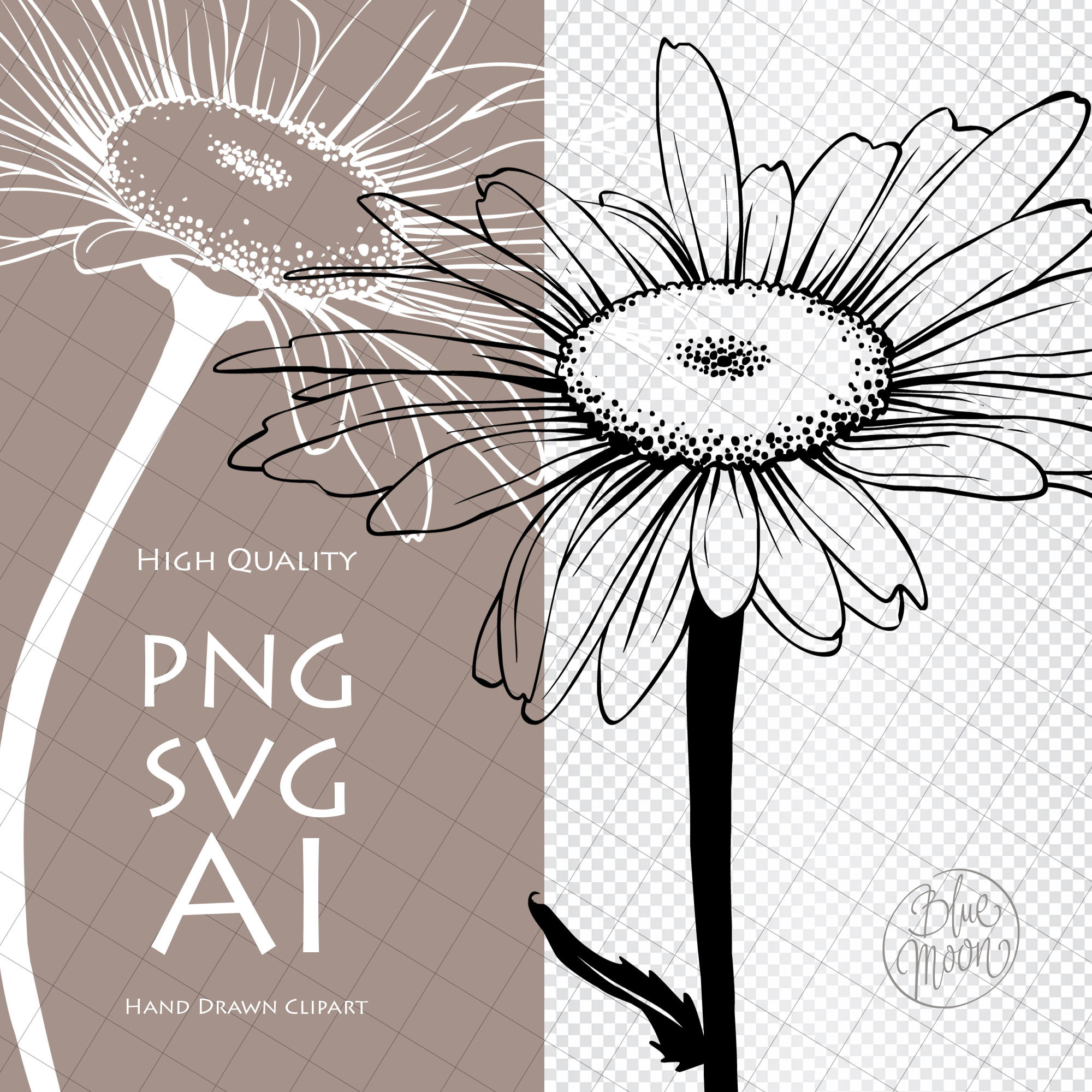 Daisy Flower, Hand Drawn Floral Illustrations. Set of Svg, Ai and Png ...