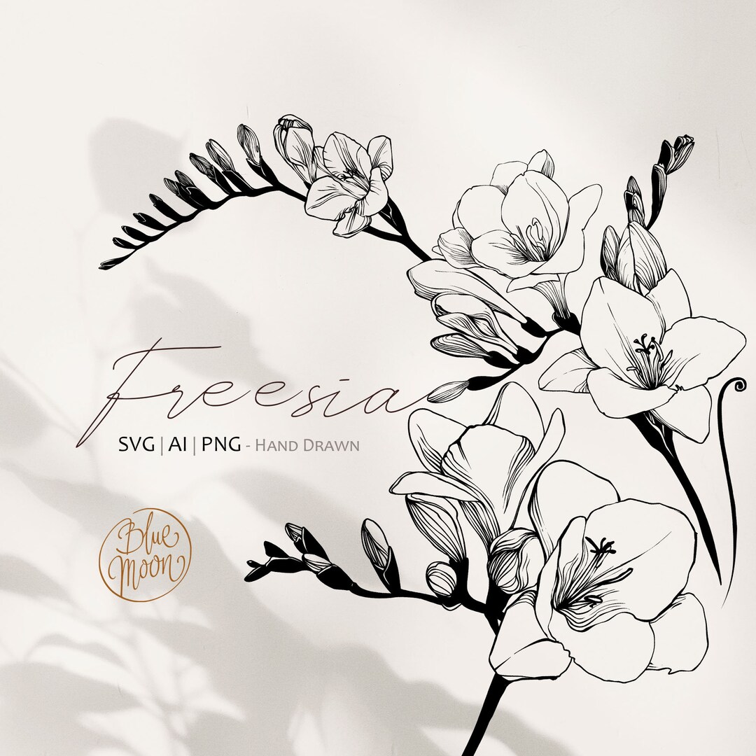 Freesia Flower, Hand Drawn Floral Illustrations. Set of Svg, Ai and Png Clipart Files, Digital ...