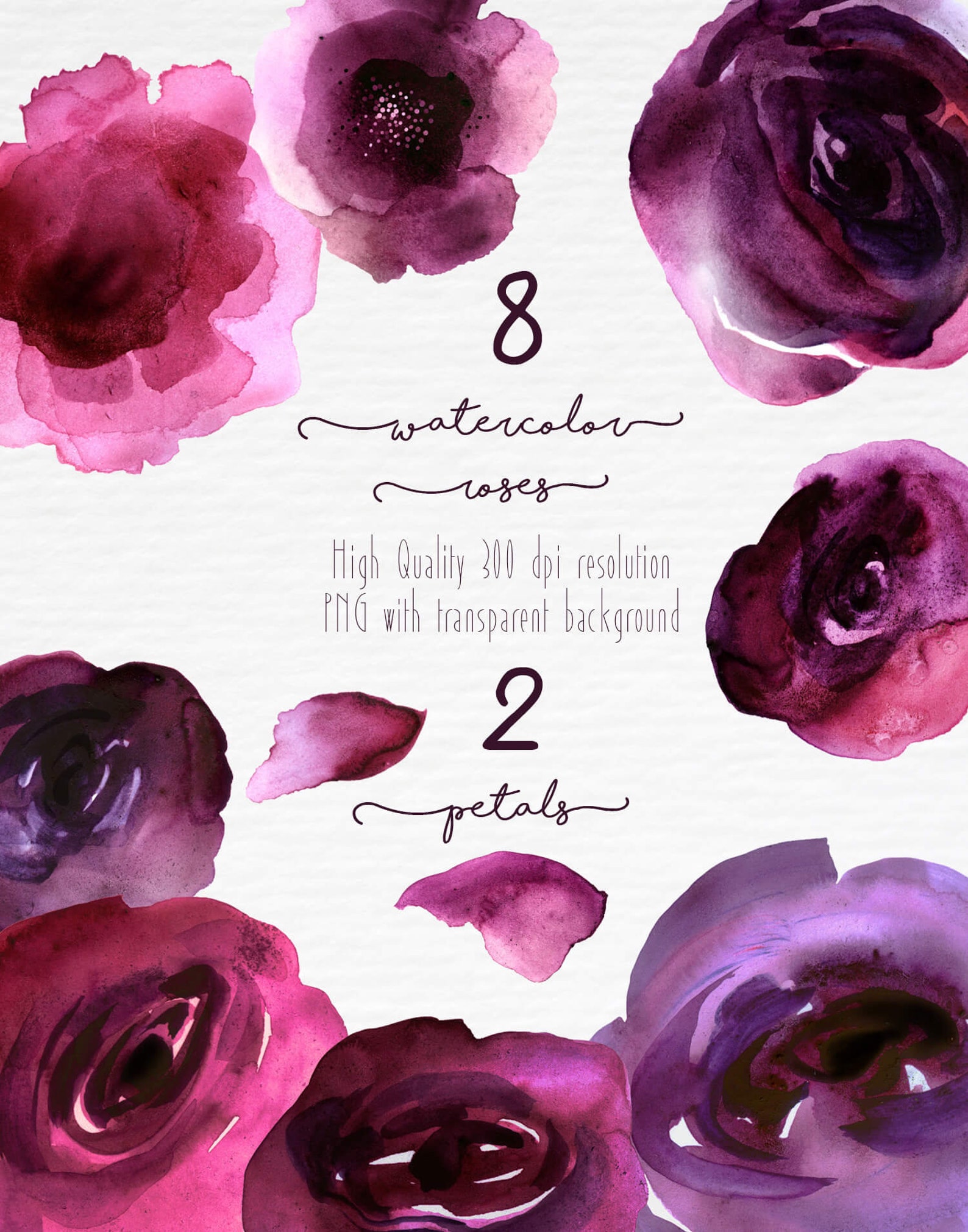 Watercolor Floral Clipart Hand Painted Rose Flowers - Etsy