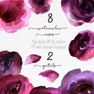 Watercolor Floral Clipart, Hand Painted Rose Flowers, Individual ...
