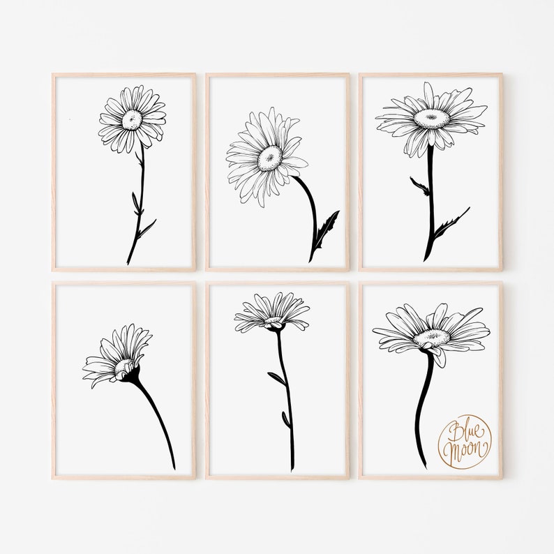 Daisy Flower, Hand Drawn Floral Illustrations. Set of Svg, Ai and Png ...