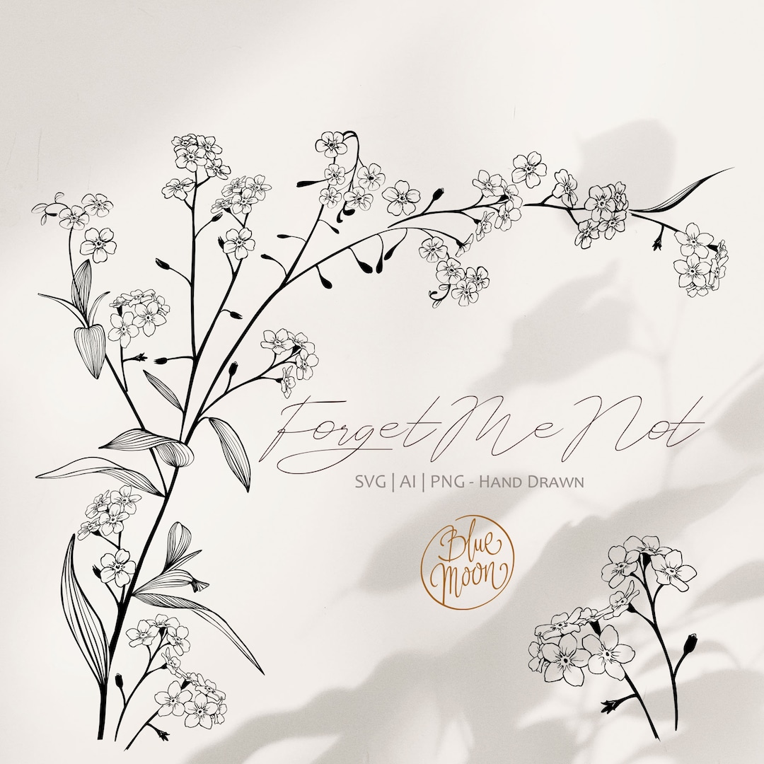 Forget-me-not Flower, Hand Drawn Floral Illustrations. Set of Svg, Ai ...