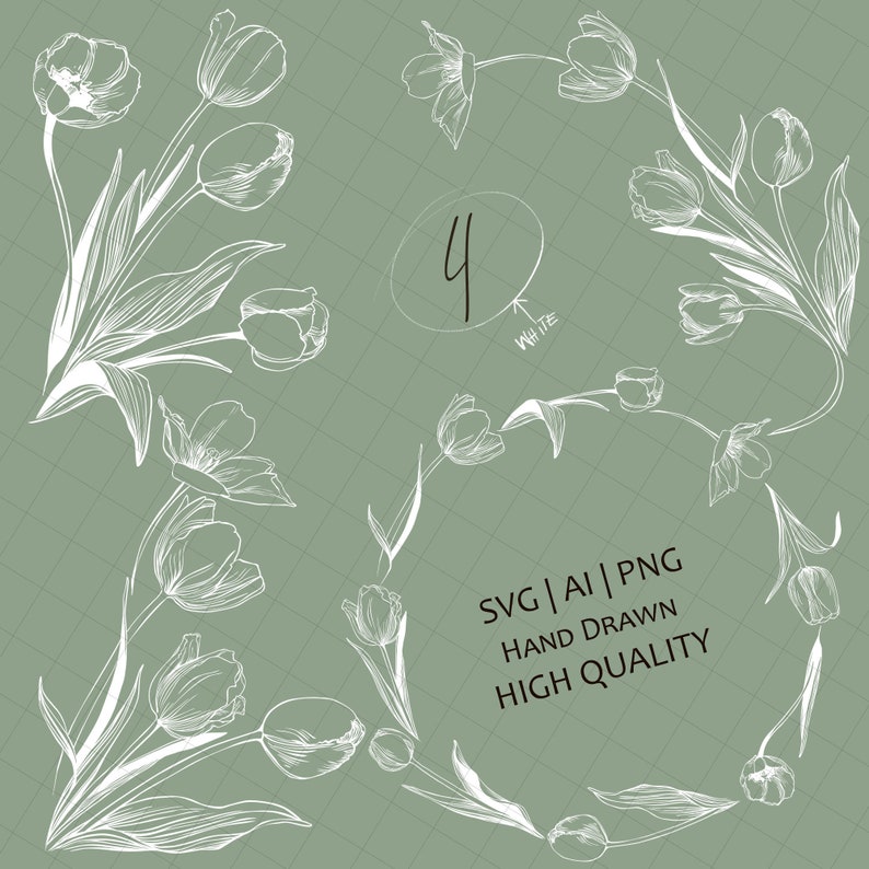 Tulip Flower, Floral Graphics. Set of Svg, Ai and Png Clipart Files ...