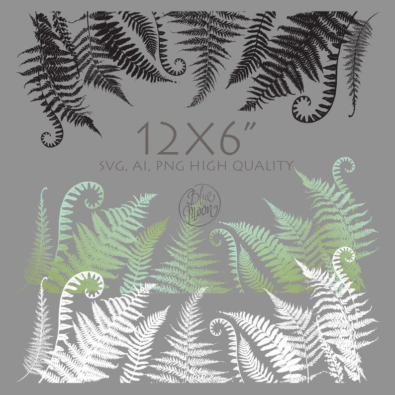 Fern Border Hand Drawn Floral Graphics. Set of Svg Ai and - Etsy