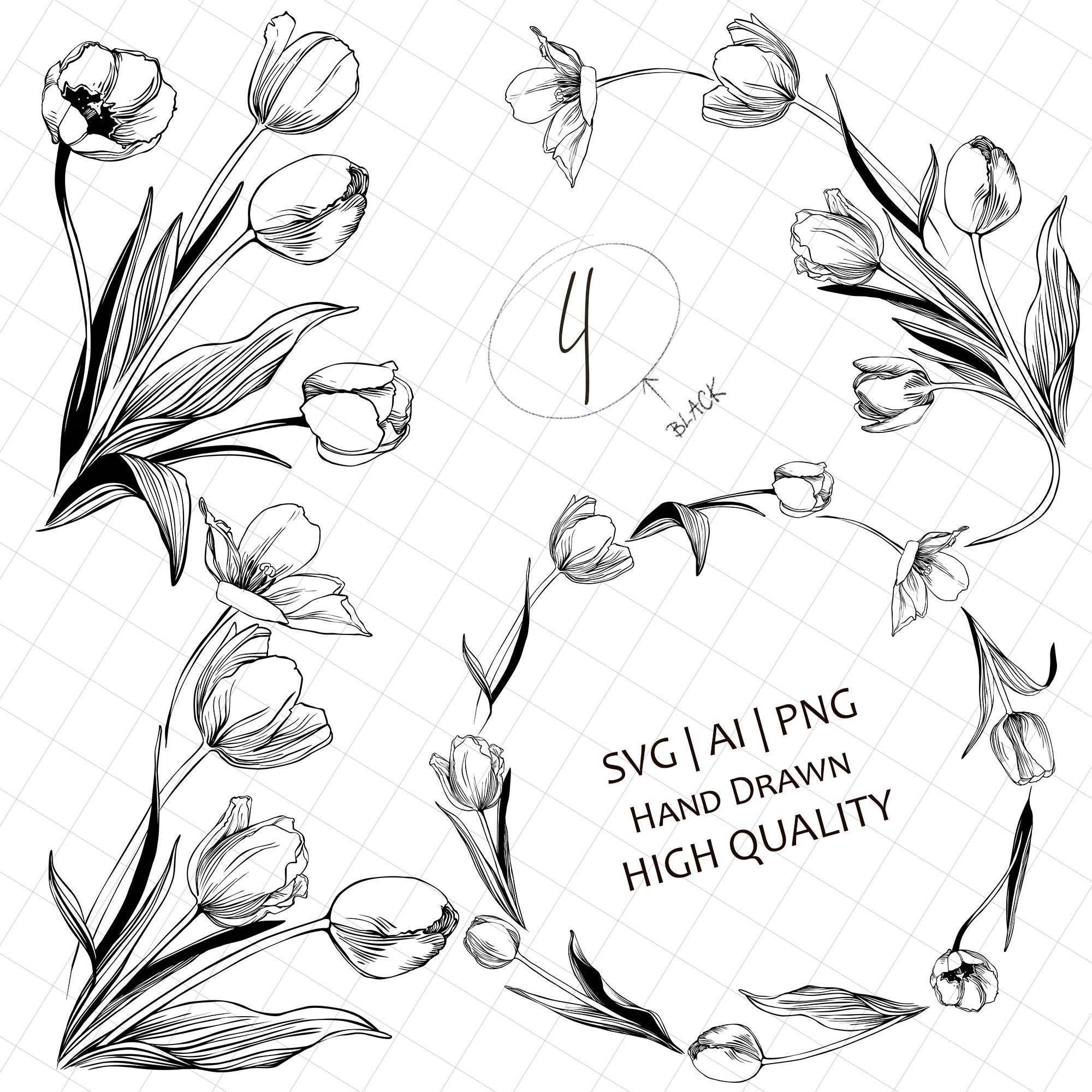 Tulip Flower Floral Graphics. Set of Svg Ai and Png Clipart - Etsy