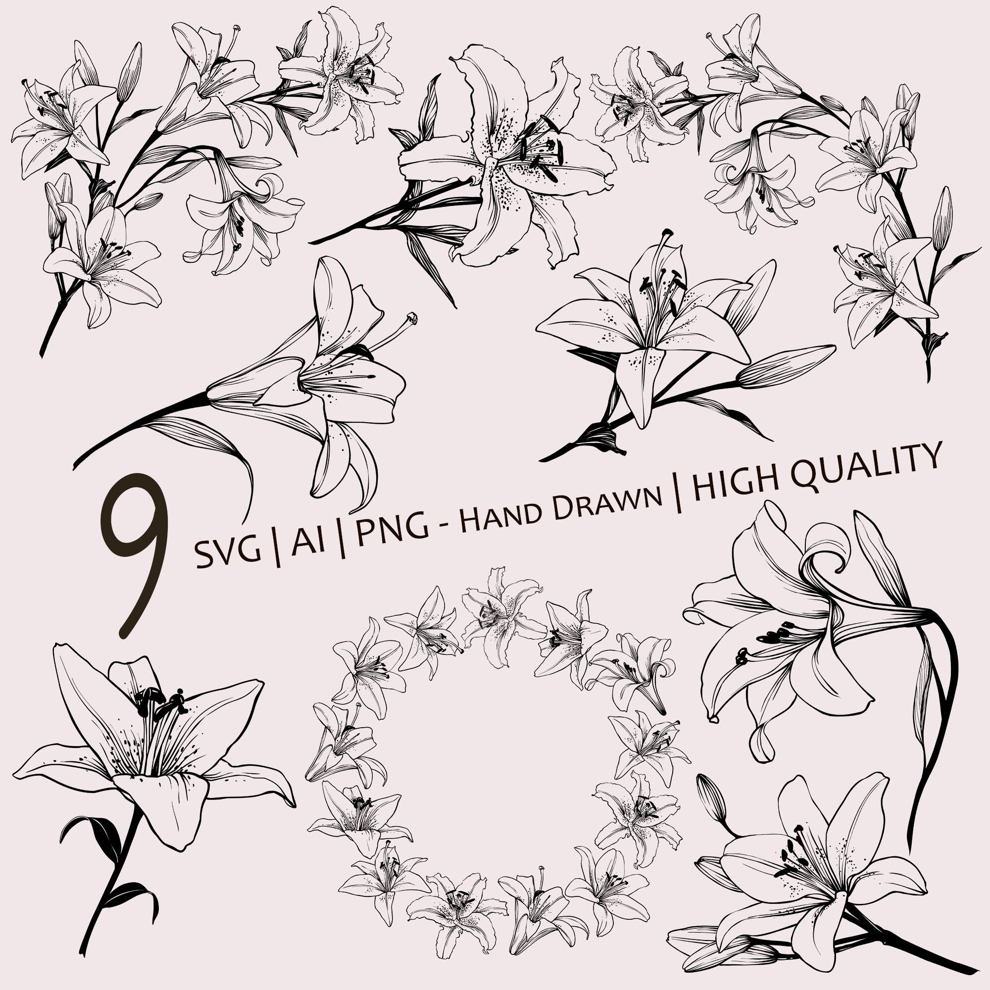 Lily Flower, Floral Graphics. Set of Svg, Ai and Png Clipart Files ...