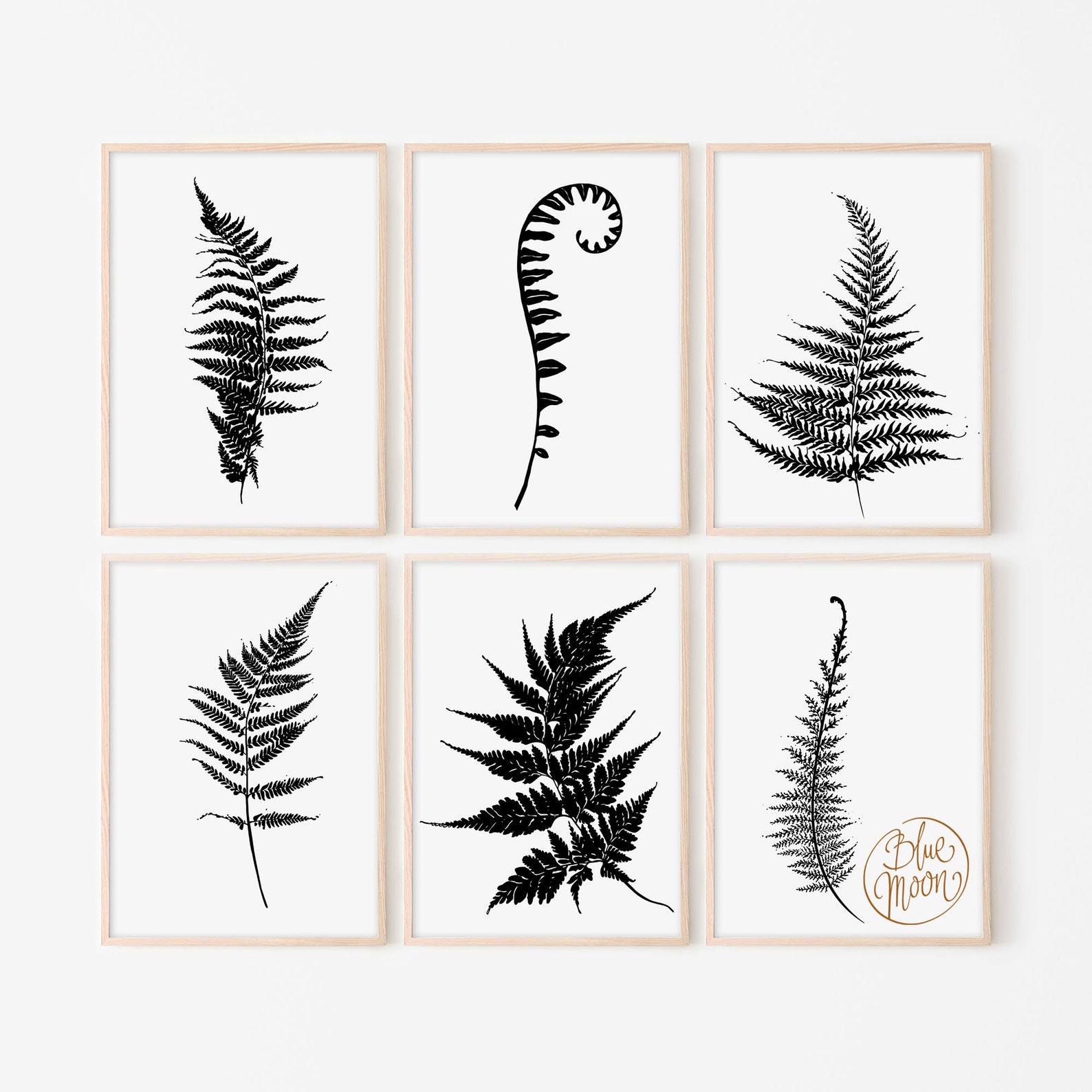 Fern Leaves Hand Drawn Botanical Graphics. Set of SVG AI and - Etsy