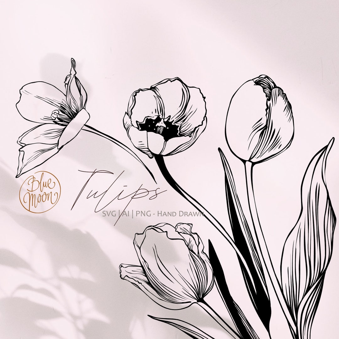 Tulip Flower, Floral Graphics. Set of Svg, Ai and Png Clipart Files ...