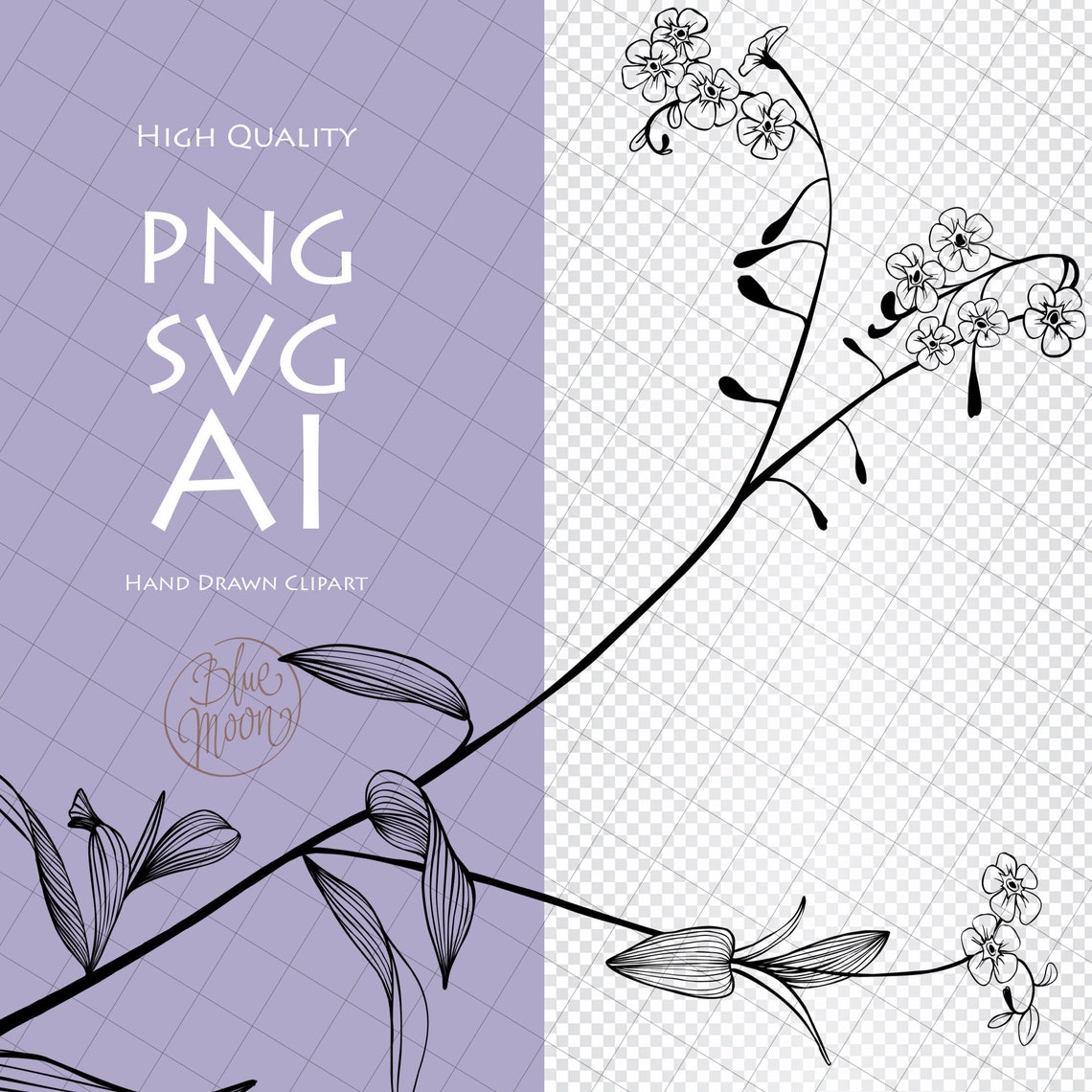 Forget-me-not Flower Hand Drawn Floral Illustrations. Set of - Etsy