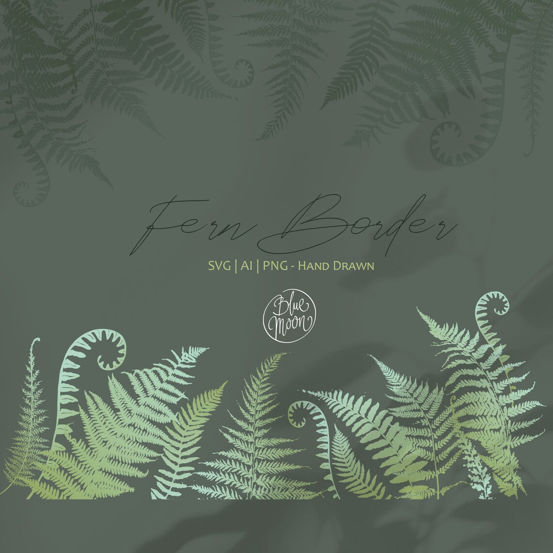 Fern Border Hand Drawn Floral Graphics. Set of Svg Ai and - Etsy