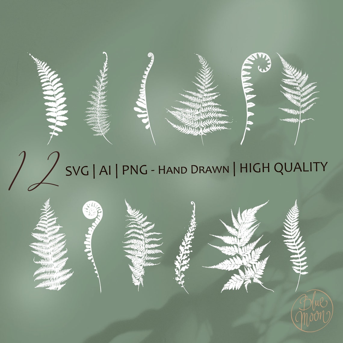 Fern Leaves Hand Drawn Botanical Graphics. Set of SVG AI and - Etsy
