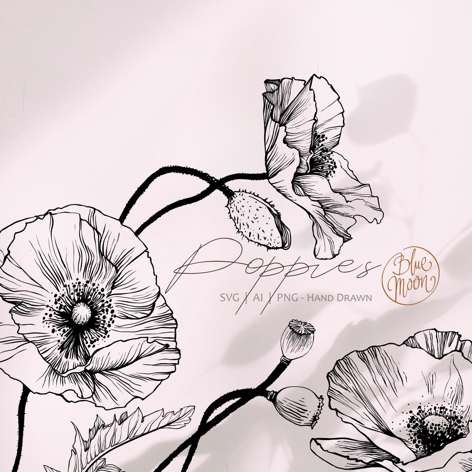 Poppy Flower, Hand Drawn Floral Graphics. Set of Svg, Ai and Png ...