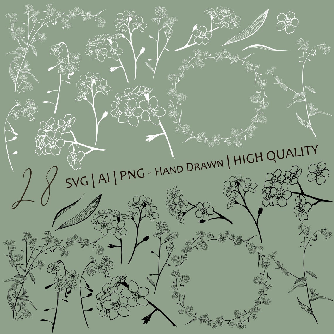 Forget-me-not Flower Hand Drawn Floral Illustrations. Set of - Etsy