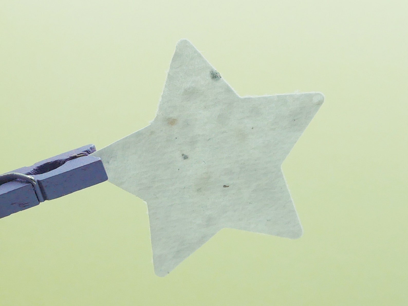 Baby Shower Plantable Star Favours X5 - Etsy UK