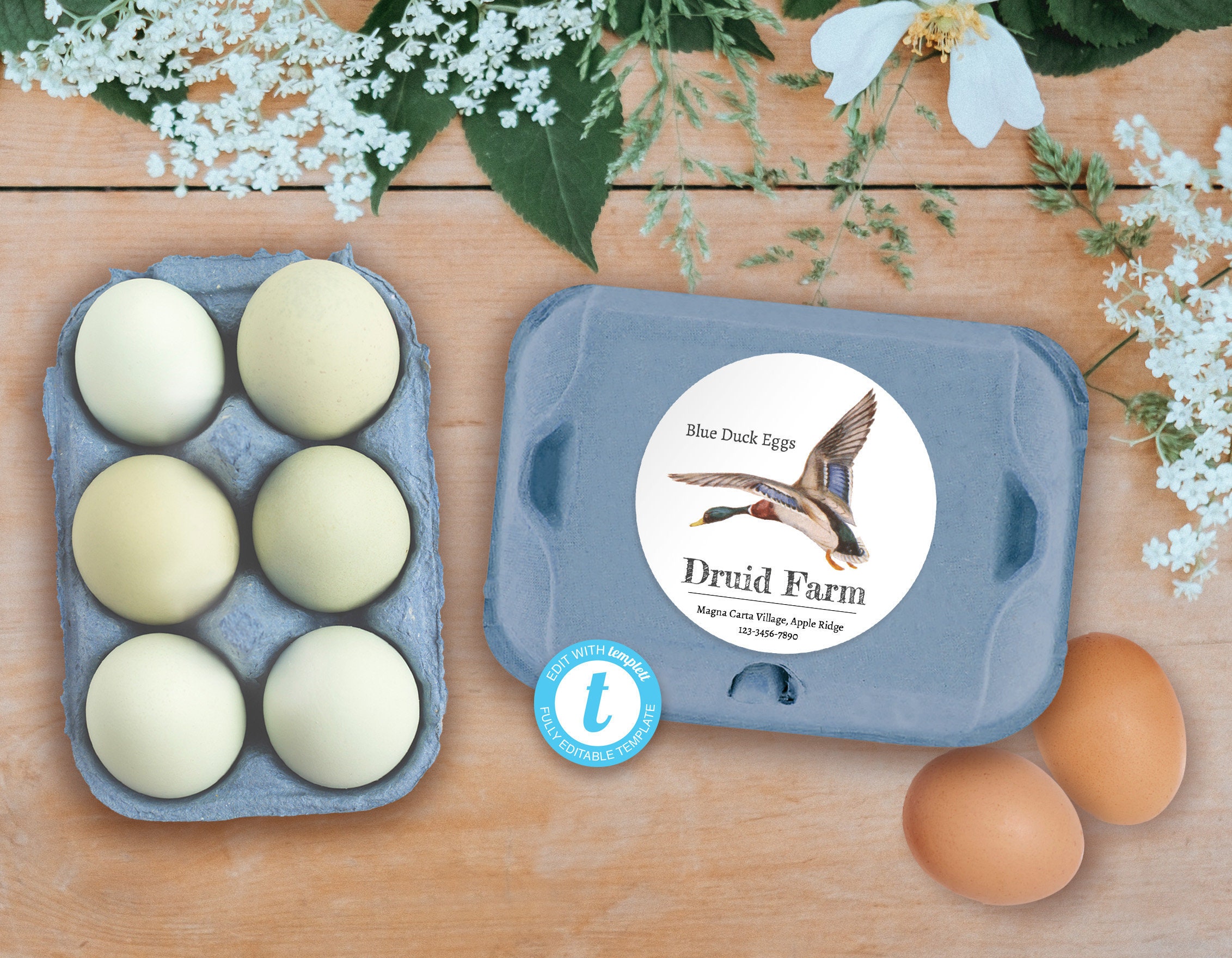 35 Egg Carton Label Template Labels Design Ideas 2020