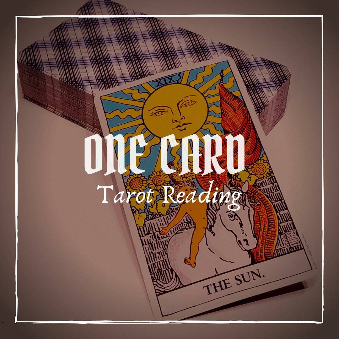One 1 Card Tarot Reading - Etsy