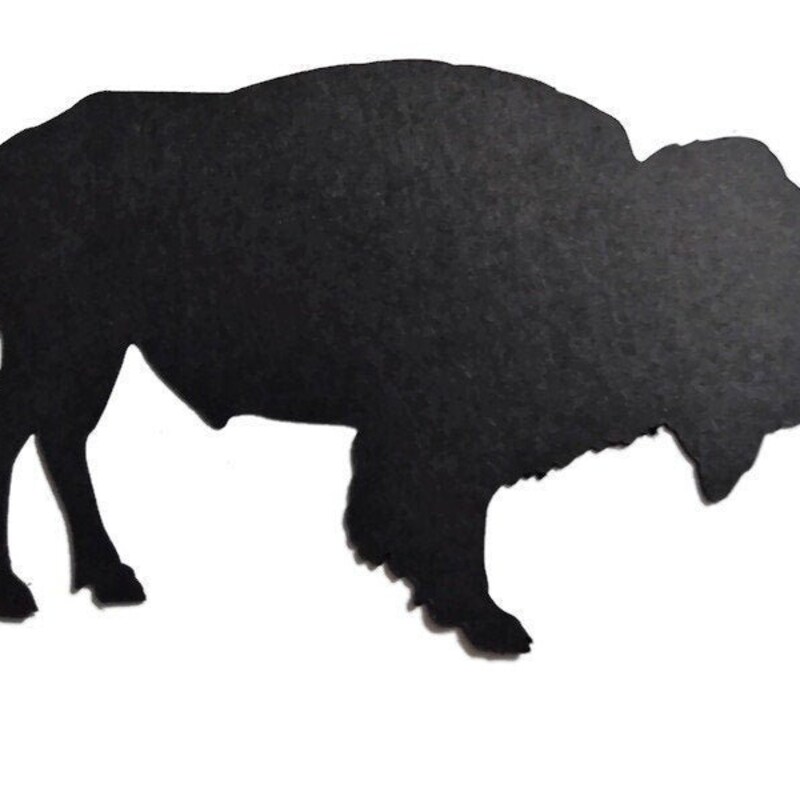 Bison Canvas - Etsy