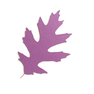 6 Pieces Oak Leaf Leaves Plants Trees Flowers Die Cuts Cardstock ...