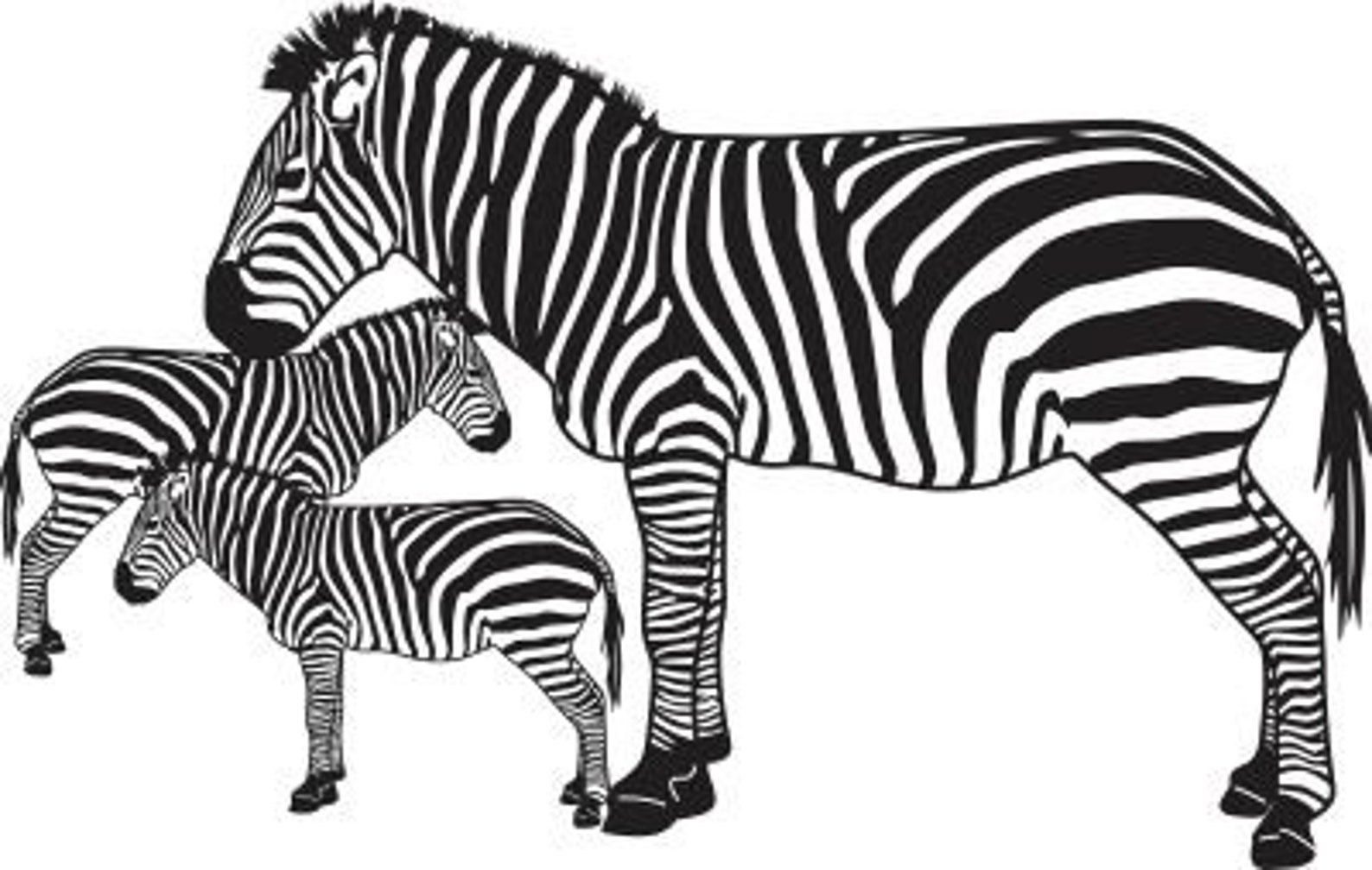 Zebra Decorative Panel Wall Hanging Room Decorating Laser | Etsy