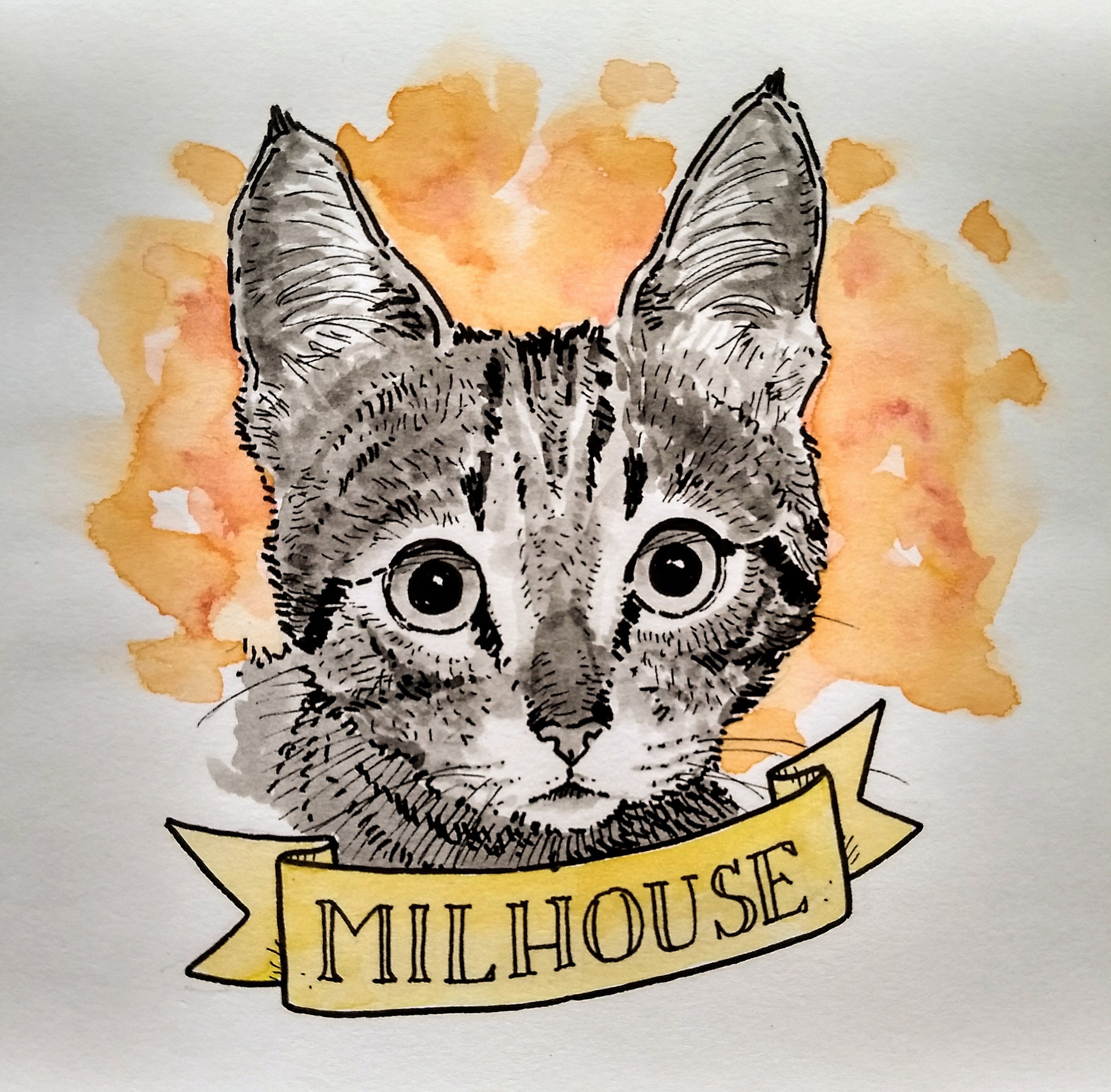 Custom 5x5 Pet Portraits - Etsy