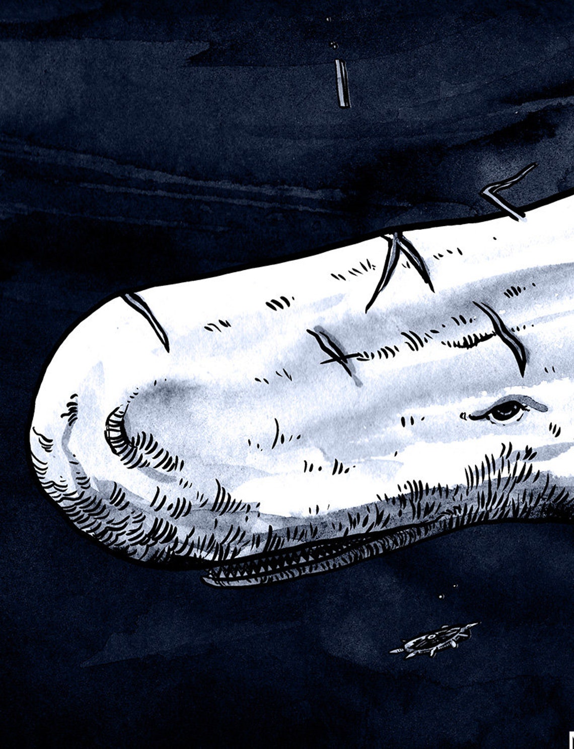 Moby-dick Print 11x14 | Etsy