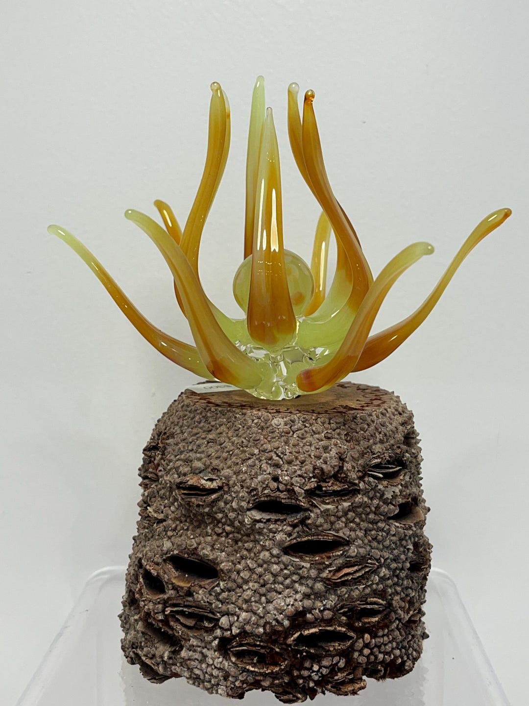 Boro Glass Sculpture: Primeval Lily - Fantasy Flower by Robert Bank ...