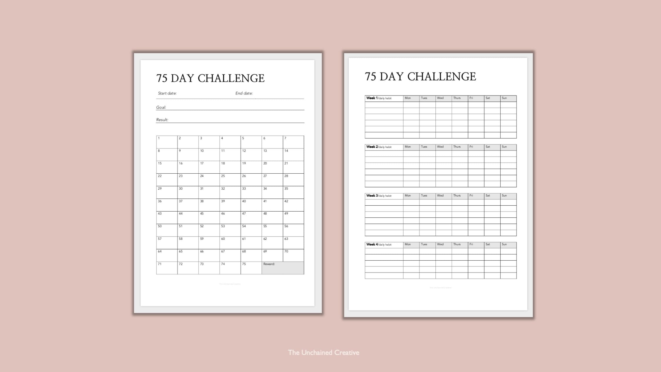 75 DAY CHALLENGE Tracker - 75 Daily Challenge Printable, Daily Routine ...