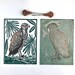 Red Shouldered Hawk Juvenile Full Color Block Print Limited - Etsy